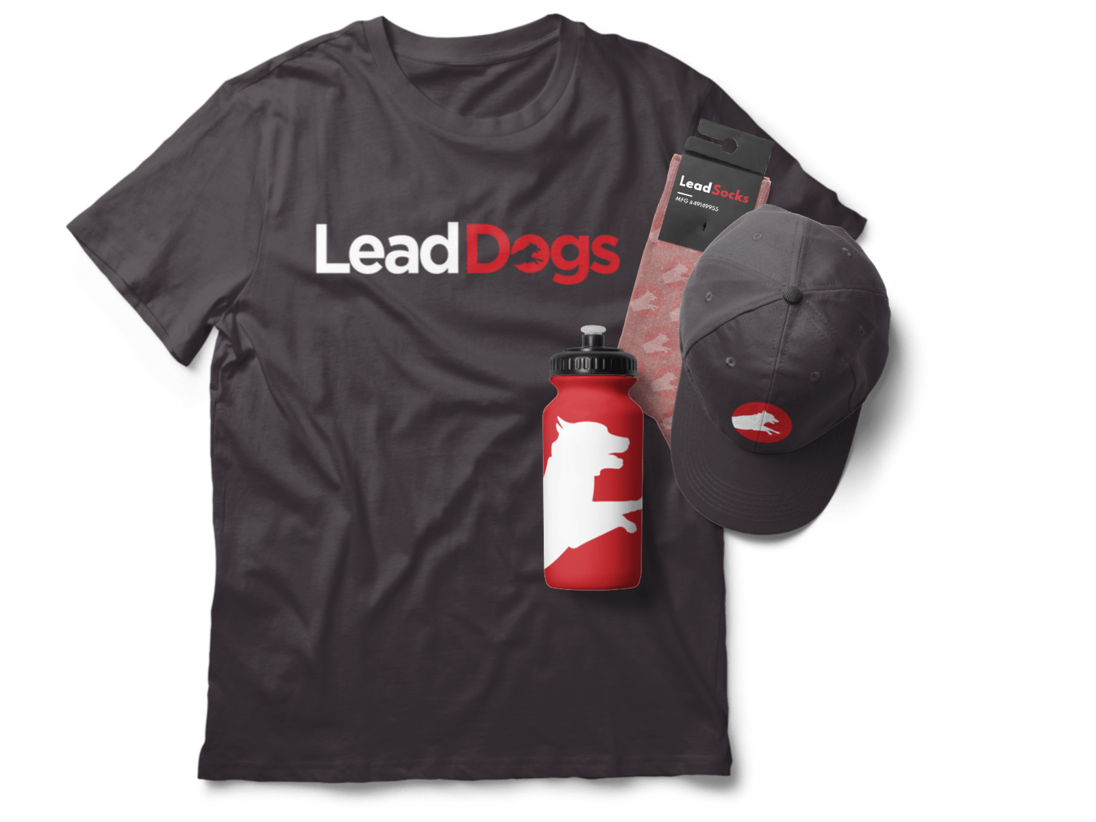 About Us - LeadDogs